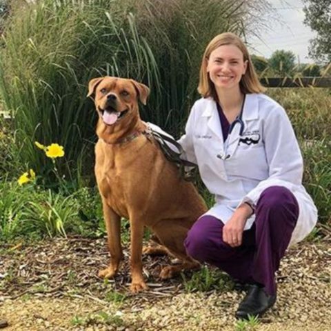 Veterinarian In Oregon, WI 53575 | Country View Veterinary Services Of ...